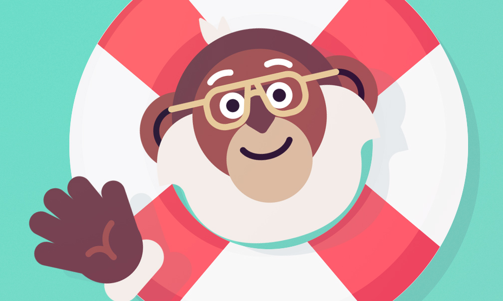 Flash Mind - Learn, evaluate and review effectively